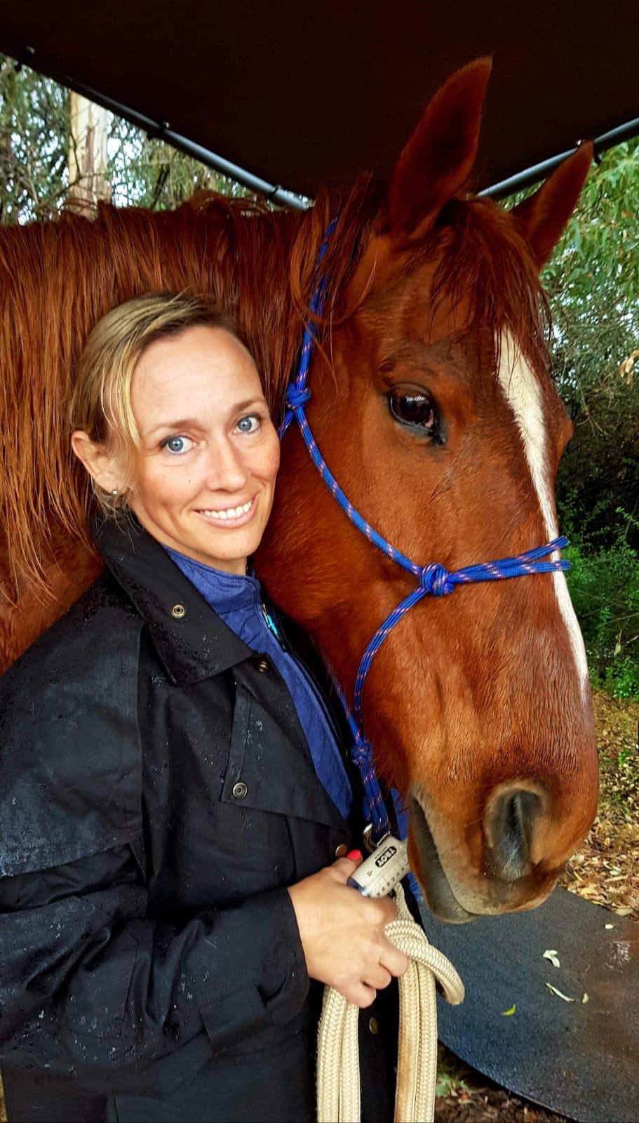 Veterans Riding To Recovery On Retired Racehorses