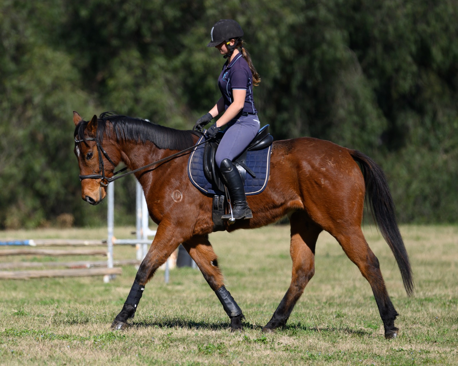 Team Thoroughbred NSW