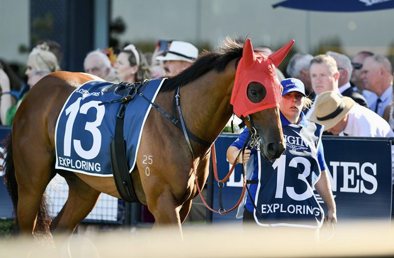 Godolphin’s Golden Girl