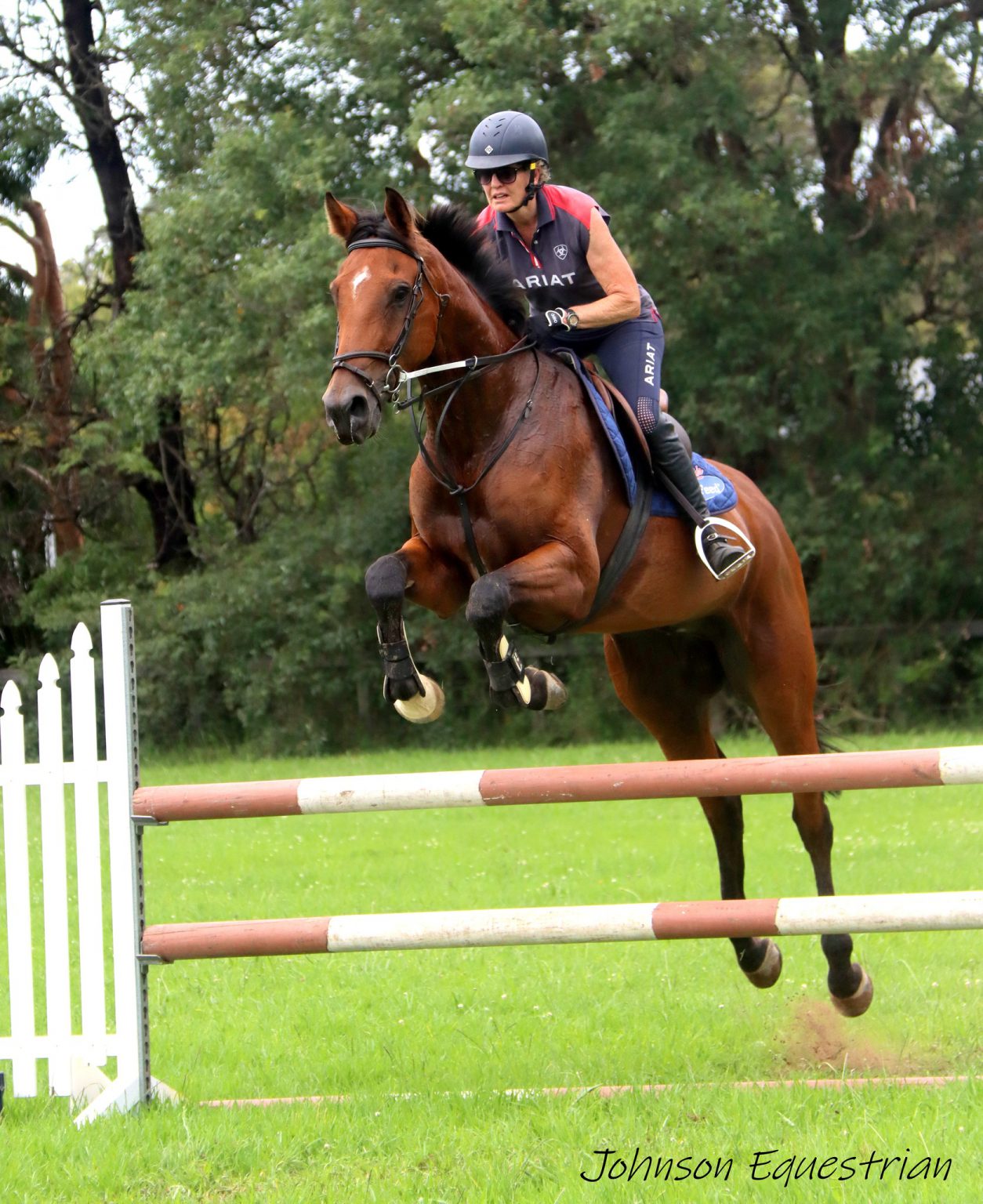 Vicki Roycroft: An icon of the sport